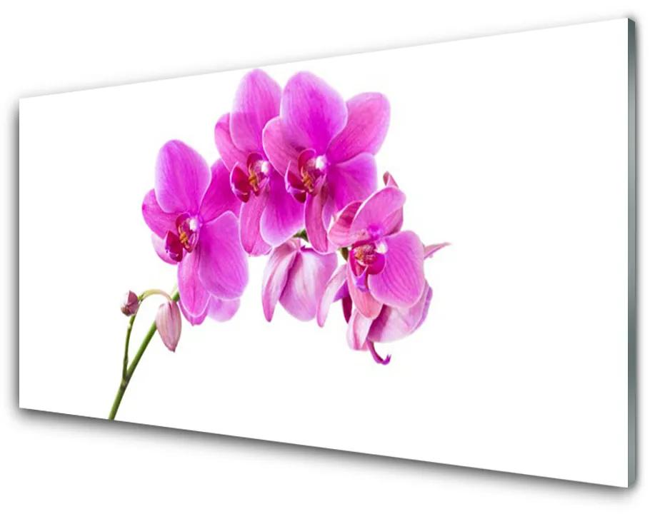 Obraz na skle Vstavač Květ Orchidej 140x70 cm