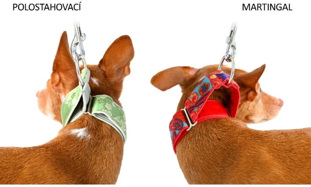 Obojek pro psa Grace Emily Meadow červený Provedení: Polostahovací, Délka obojku: L - 40 - 56 cm, Šířka obojku: 2,5 cm