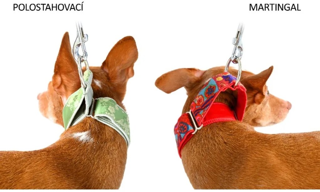 Obojek pro psa Grace Emily Meadow červený Provedení: Polostahovací, Délka obojku: L - 40 - 56 cm, Šířka obojku: 4 cm
