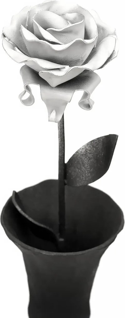 Keltská růže - bílá - M (13 cm)