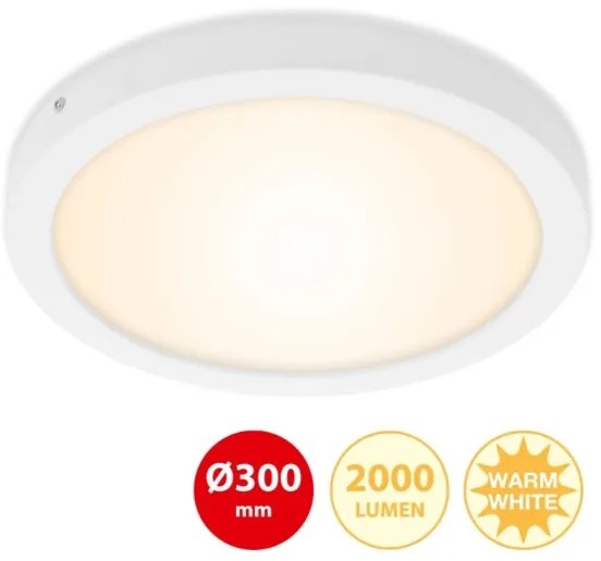 Briloner 7141-016 - LED Stropní svítidlo FIRE LED/21W/230V