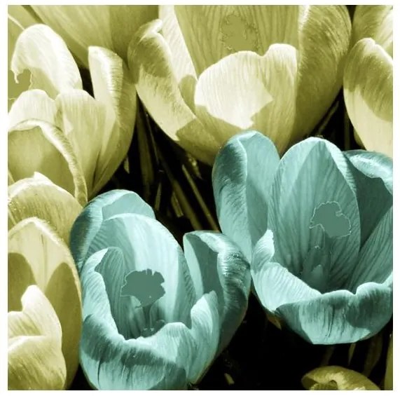 Obraz světlemodrých květin  (40x40 cm), 40 dalších rozměrů