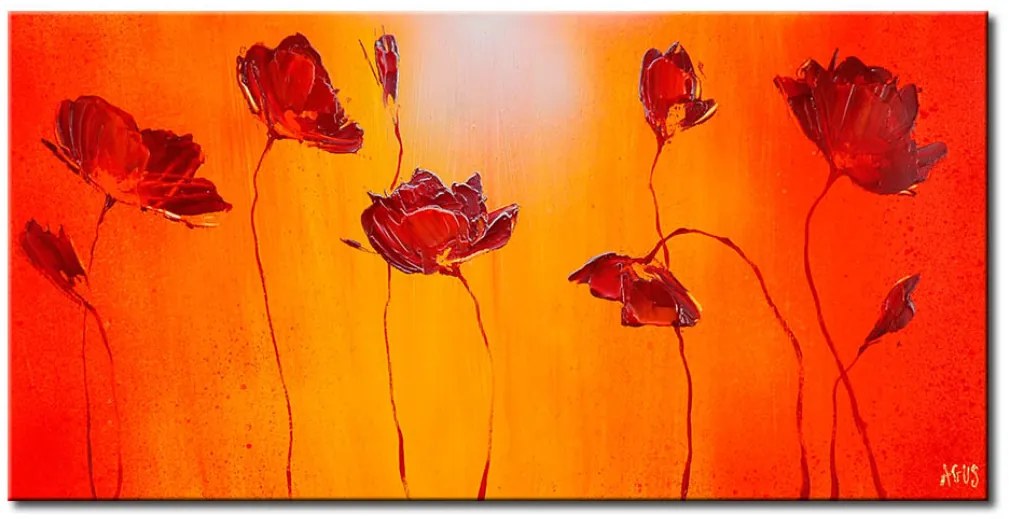 Obraz Louka máků (1-dílný) - slunečná kompozice červených květů