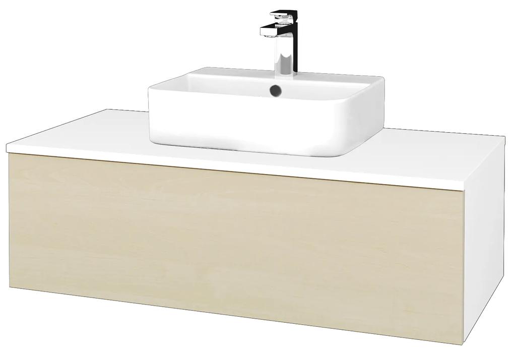 Dřevojas Koupelnová skříňka MODULE SZZ1 100 Varianta: N01 Bílá lesk / D06 Ořech