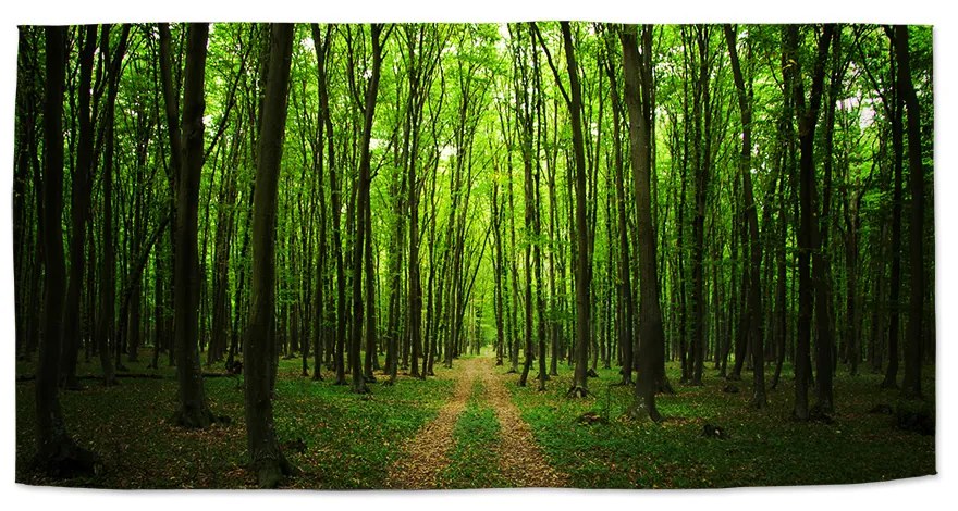 Ručník SABLIO - Cesta v lese 50x100 cm