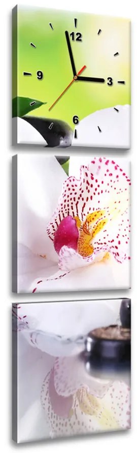 Gario Obraz s hodinami Bílá orchidej a kameny - 3 dílný Rozměry: 90 x 70 cm