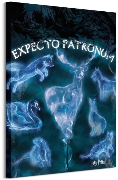 Obraz na plátně Harry Potter (Patronus) 60x80cm WDC100002