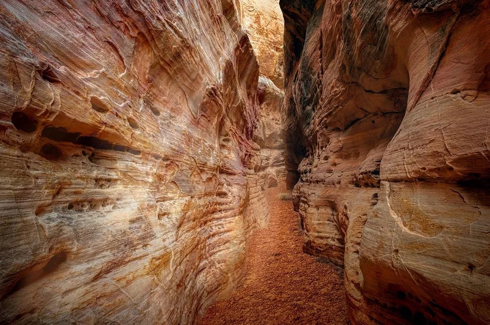 Samolepící fototapeta cestička Grand Canyonom