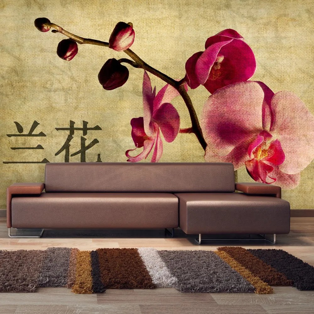 Fototapeta - Japanese orchid - 450x270