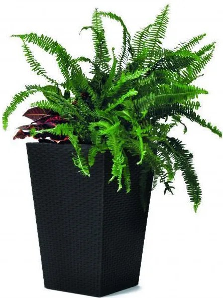 Keter Rattan planter S - hnědý