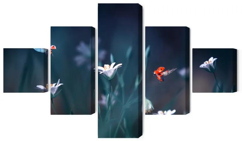 Vícedílný obraz Berušky A Květy V Makro Měřítku Nedostatek Nedostatek Plátno Canvas 150x90