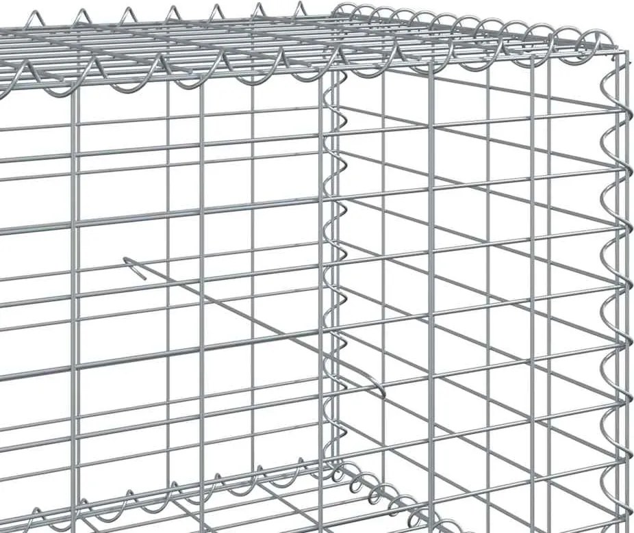 Gabionový koš s víkem 200 x 50 x 50 cm pozinkované železo 3295133