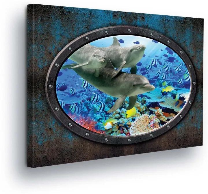 GLIX Obraz na plátně - Podmořský Svět s Delfíny II 80x60 cm