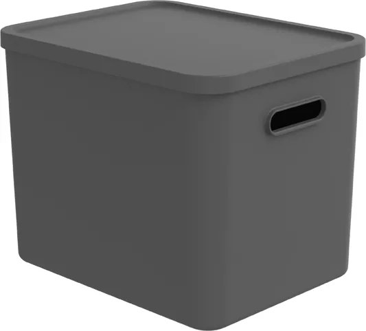 Rotho Úložný box, rovný s víkem, 27l, antracit ALBU LIGHT, 37x29x30