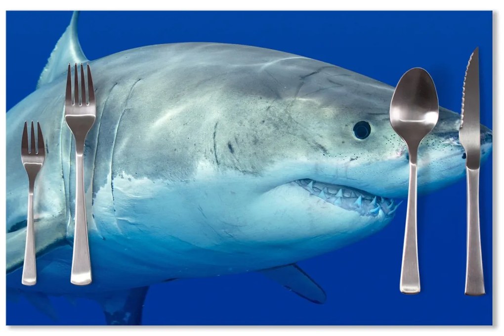Sablio Prostírání Žralok: 40x30cm