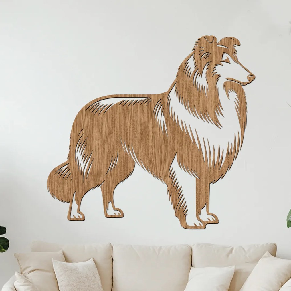dřevo života Dřevěný obraz Dlouhosrsté kolie Zvolte rozměr (cm): 60x57, Zvolte barvu dekoru: Wenge