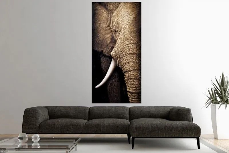 Deflee olejomalba ELEPHANT 150-CM OBR10886lněné plátno, dřevo  75 cm x 150 cm