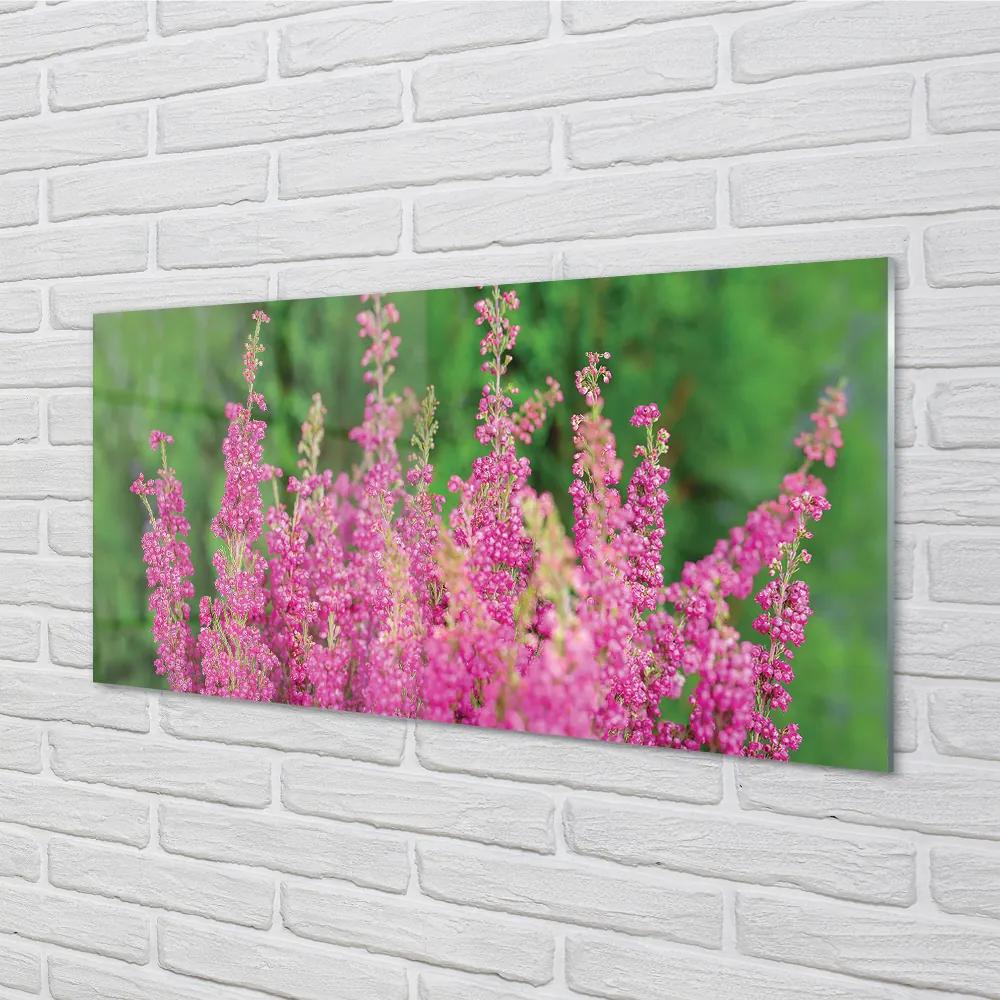 akrylový obraz květiny vřesy 100x50 cm