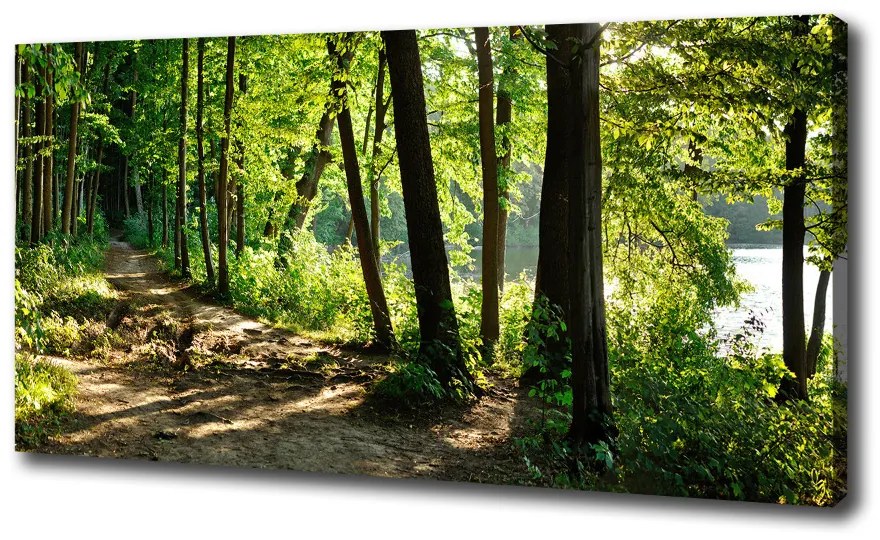 Wallmuralia Foto obraz na plátně Stezka na louce 100x50