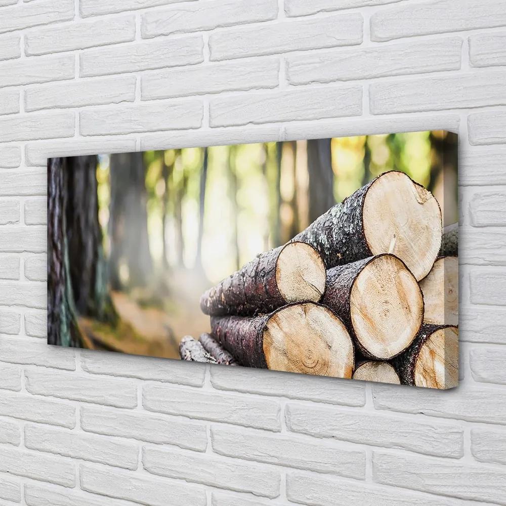 Obrazy na plátně Dříví prales přírodě 100x50 cm