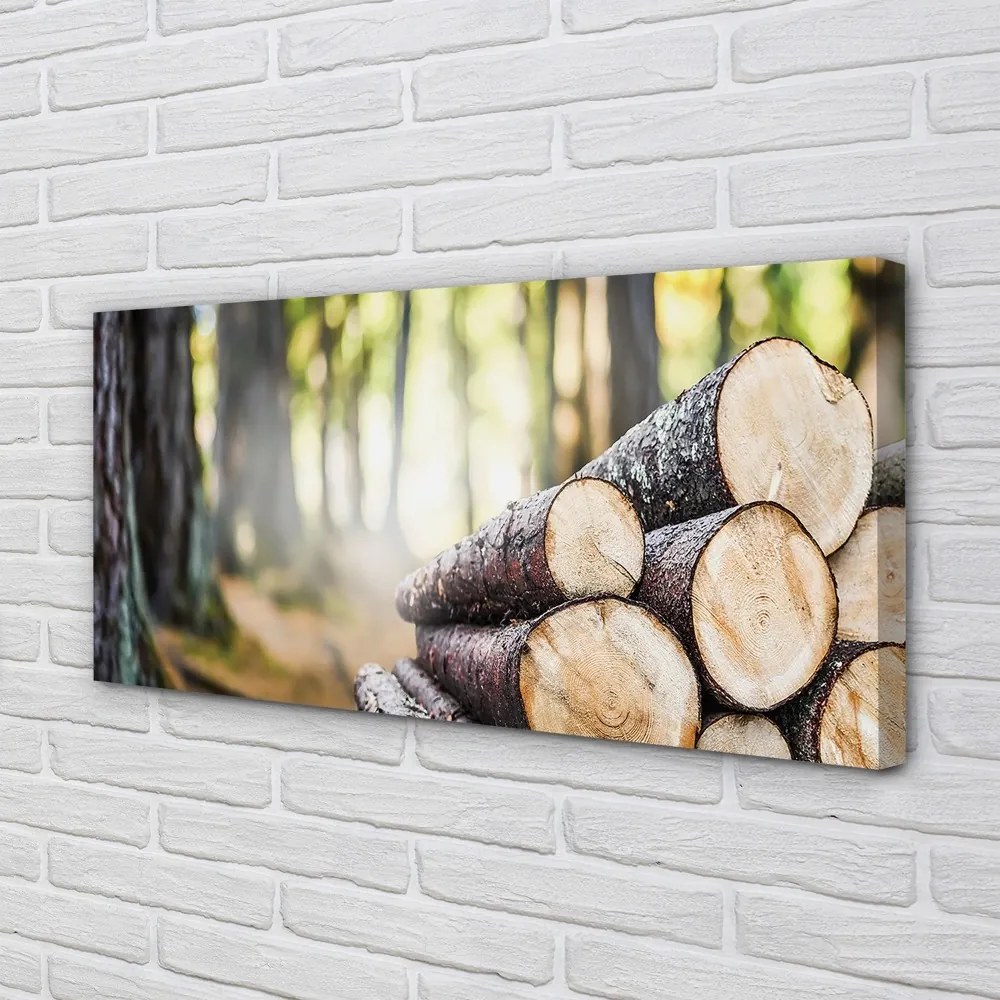 Obrazy na plátně Dříví prales přírodě 140x70 cm
