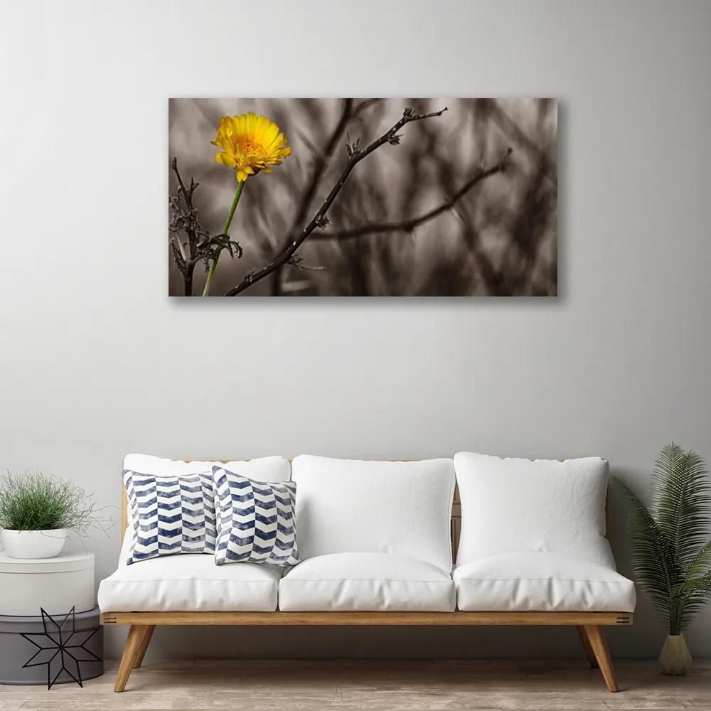 Obraz na plátně Větev Květ 125x50 cm