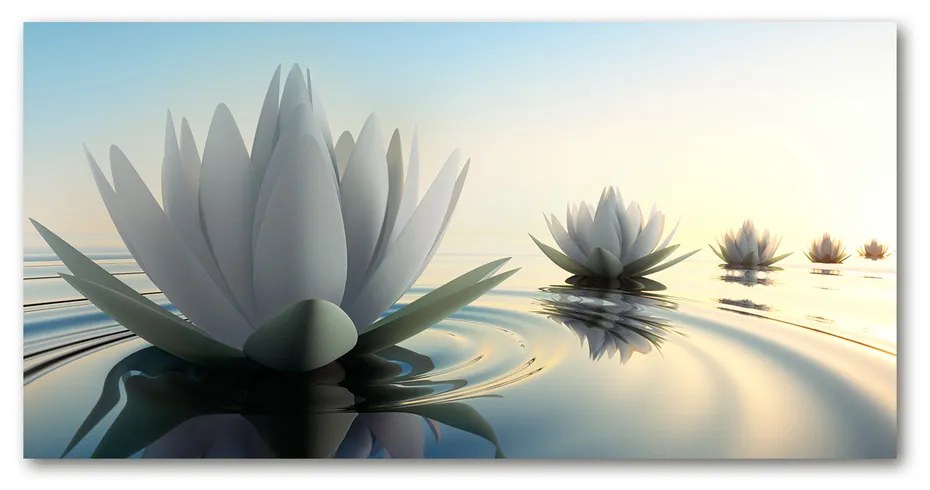 Wallmuralia Fotoobraz na skle Květ lotosu 100x50 cm