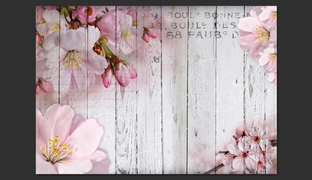 Fototapeta Bimago - Apple Blossoms + lepidlo zdarma 400x280 cm