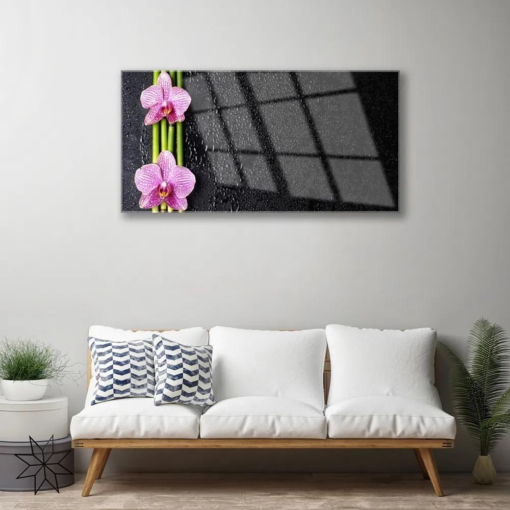 Obraz na skle Bambus Květ Rostlina Příroda 120x60 cm