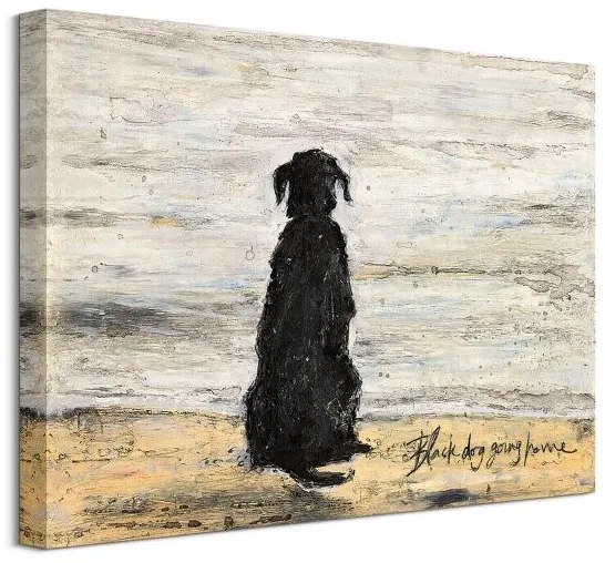 Art Group Obraz na plátně Black Dog Going Home Toft Sam 40x30cm