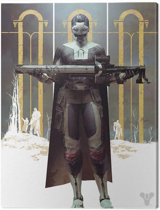 Obraz na plátně Destiny - Black Armory, (60 x 80 cm)