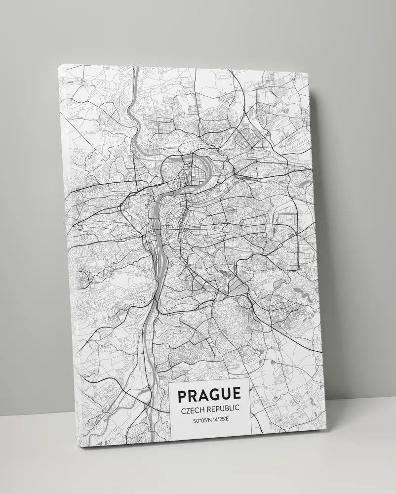 Obraz Mapa Praha 30 x 40 cm - napnuté plátno na dřevěném rámu