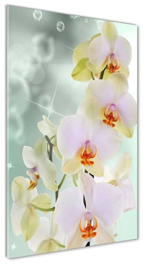 Wallmuralia Foto-obrah sklo tvrzené Orchidej 60x120 cm