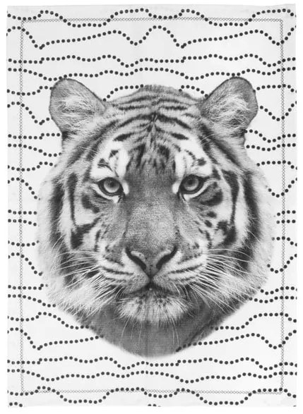 Utěrka PT LIVING Tiger, 50 x 70 cm