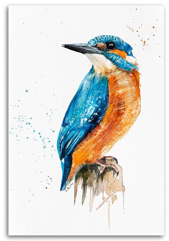 Gario Obraz na plátně Kingfisher - Dorota Martyńska Rozměry: 40 x 60 cm