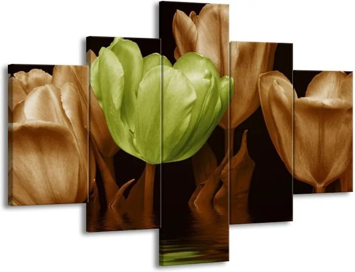 Zelený tulipán 100x70 cm