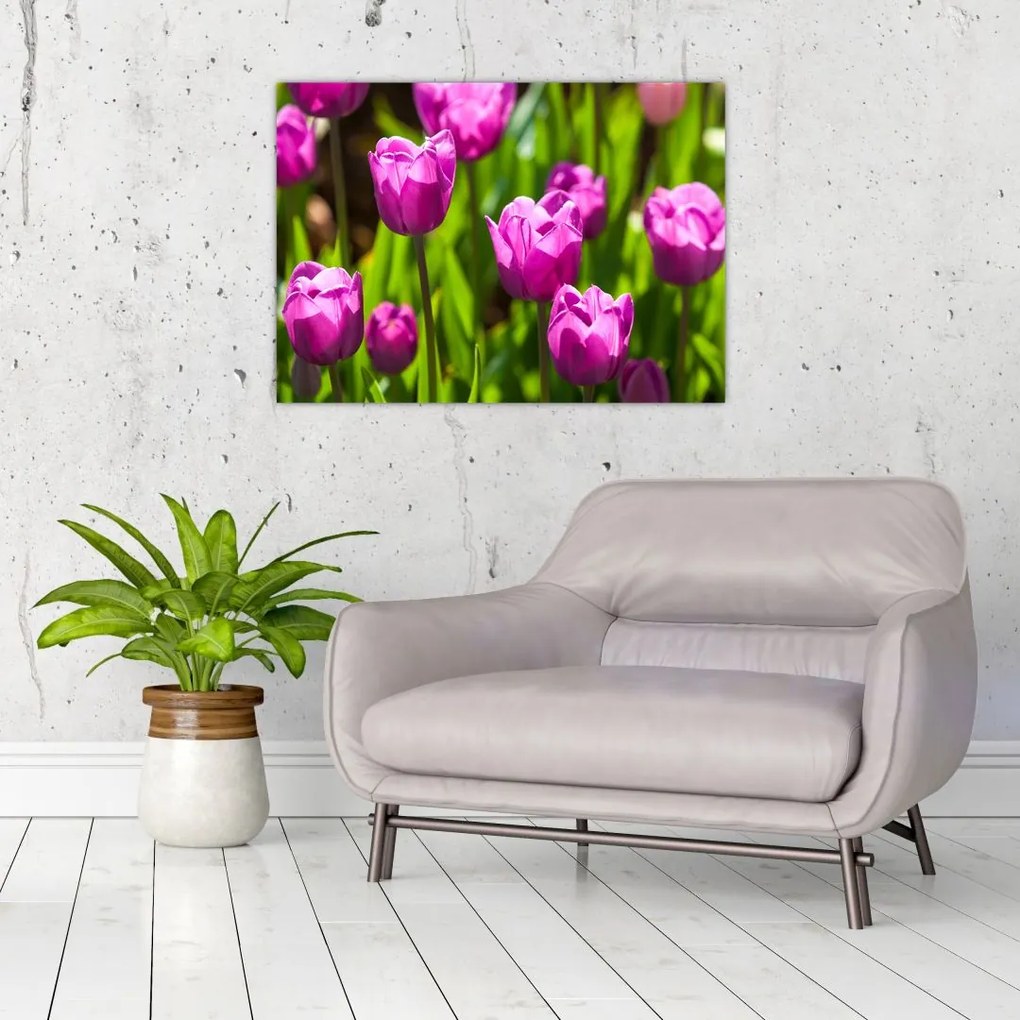 Skleněný obraz tulipánů na louce (70x50 cm)
