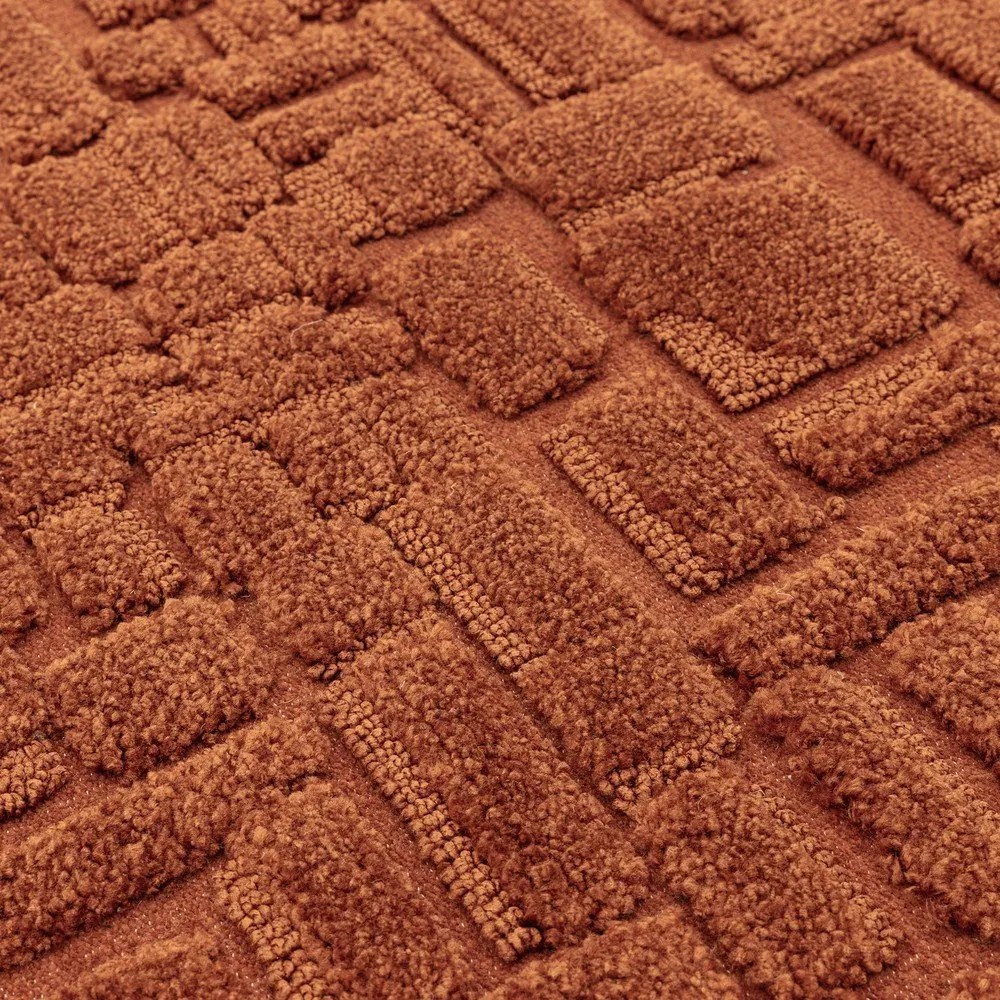 Koberec v terakotové barvě 200x290 cm – Asiatic Carpets