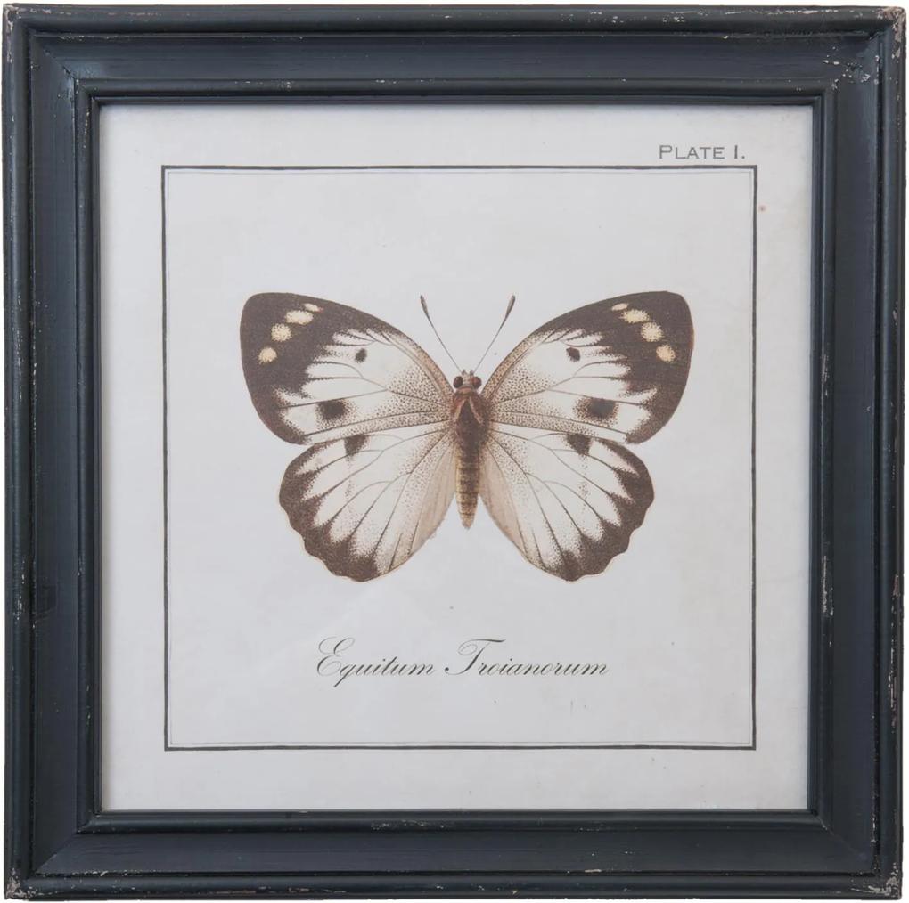 Obraz v černém rámu Motýl - 38*2*38 cm