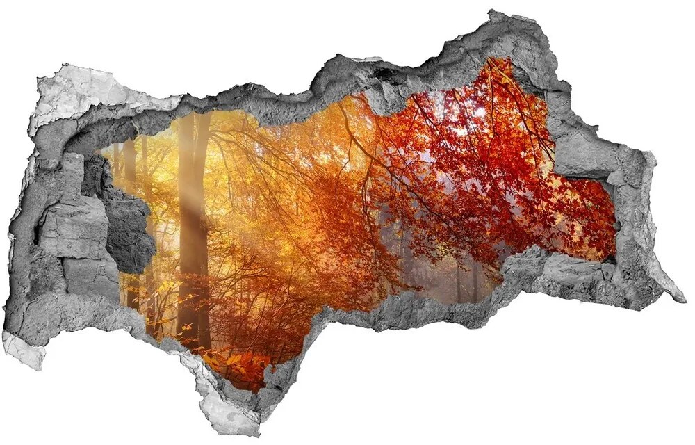 Wallmuralia Díra 3D ve zdi nálepka Podzimní les 95x73 cm