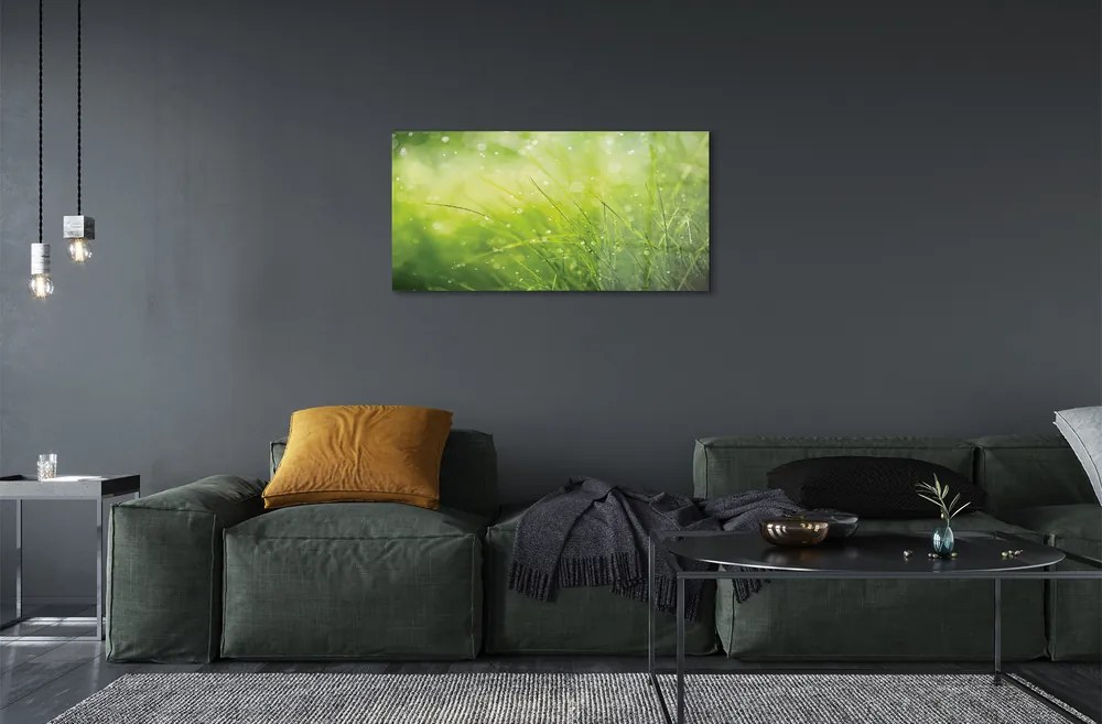 Obraz na skle Tráva kapky rosy 125x50 cm