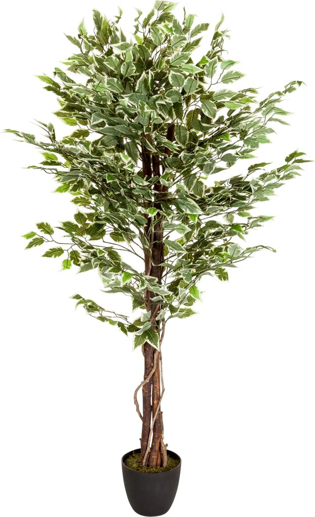 hjh Office Umělý strom Ficus