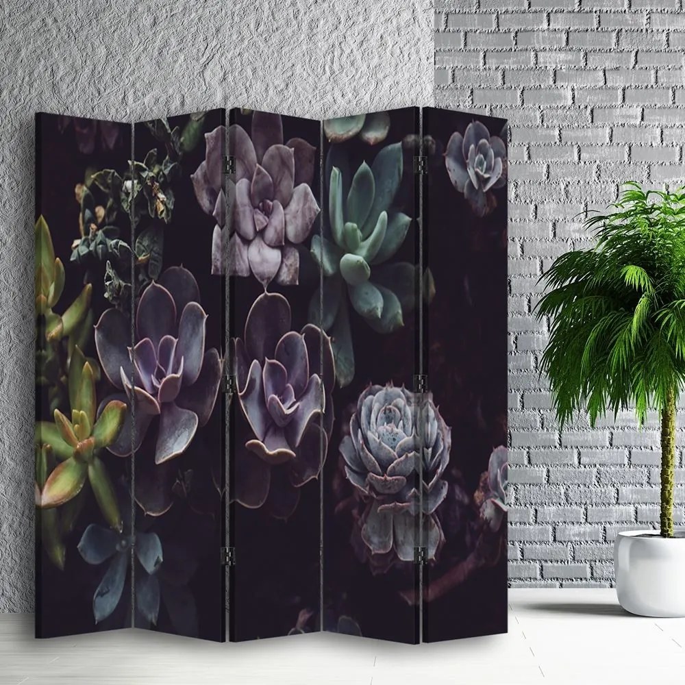 Ozdobný paraván Sukulentní květiny - 180x170 cm, pětidílný, obustranný paraván 360°