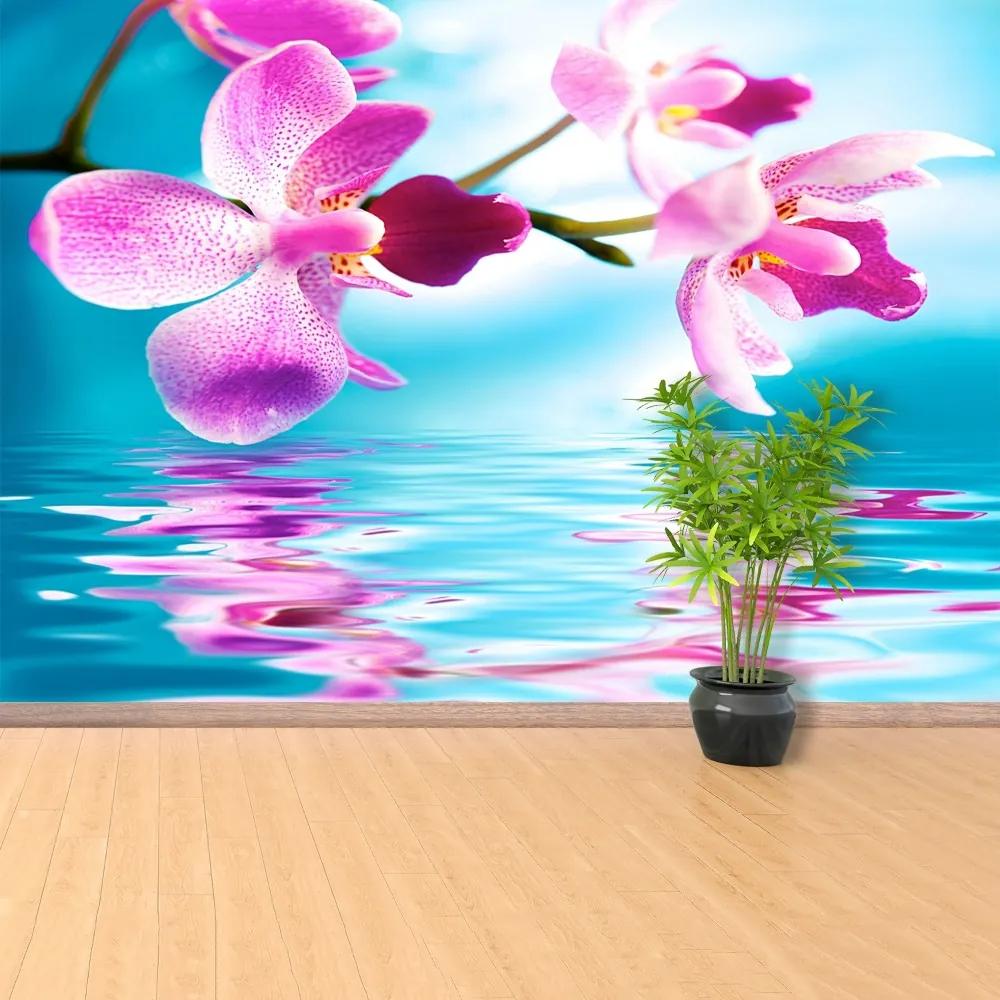Fototapeta Voda orchidej