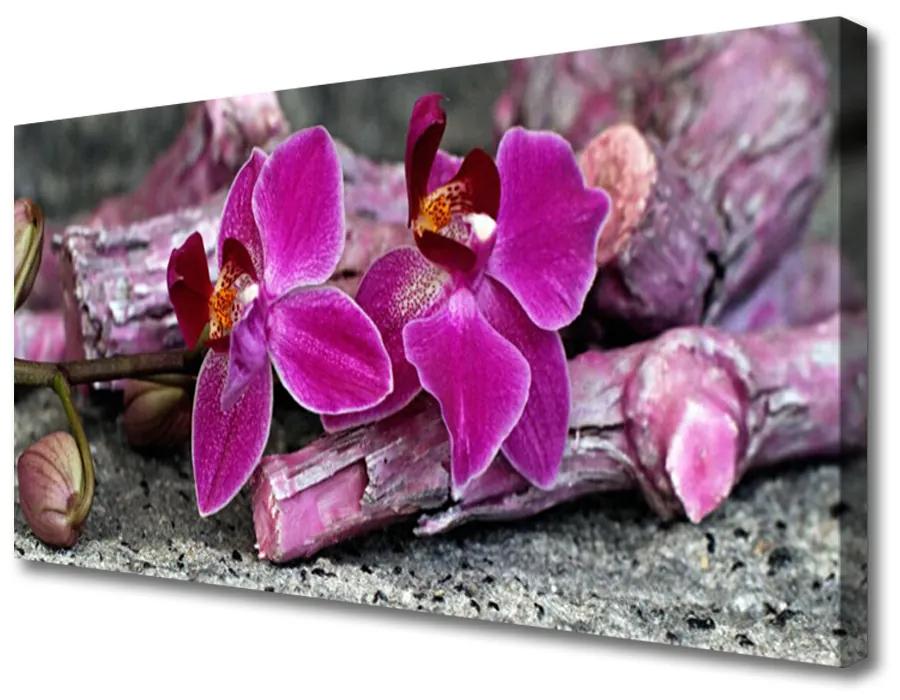 Obraz na plátně Dříví Květiny Rostlina Příroda 125x50 cm