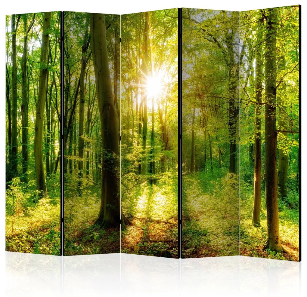 Paraván - Forest Rays [Room Dividers] 225x172