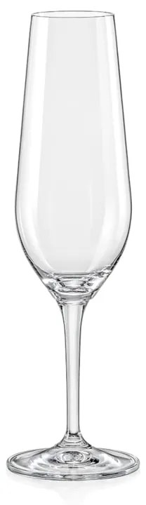 Crystalex - Bohemia Crystal Sklenice na šampaňské Amoroso 200 ml, 2 ks