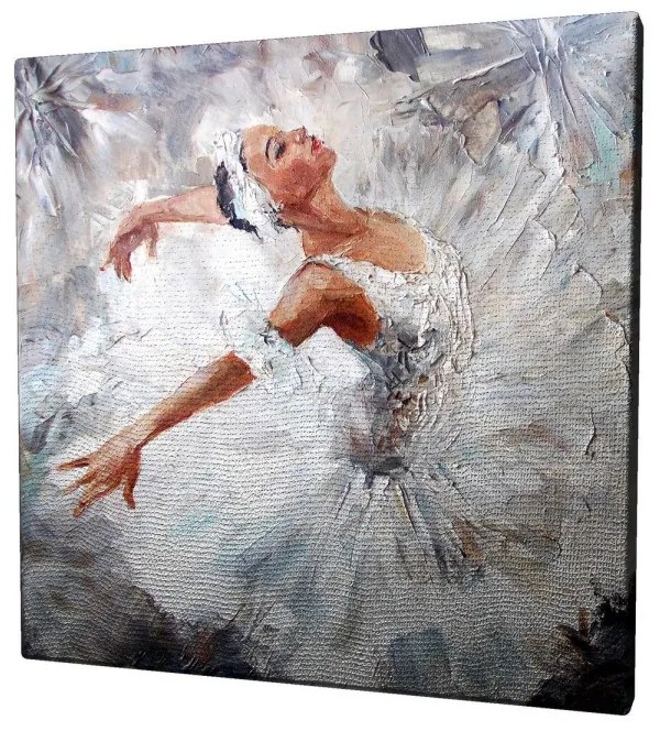 Obraz na plátně White swan KC012 45x45 cm