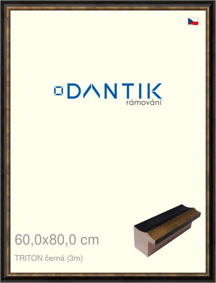 DANTIK rámeček 60x80 | TRITON černá (Plexi Čiré)