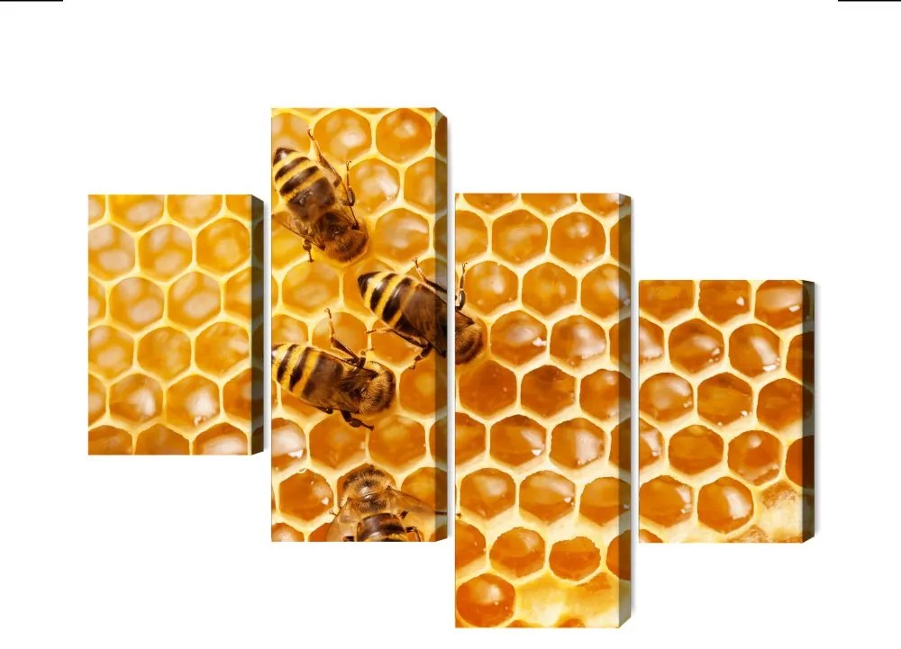 Vícedílný obraz Včely Na Plástev Nedostatek Nedostatek Plátno Canvas 80x50